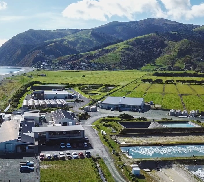 New Finfish Research Centre will provide a boost for aquaculture ...