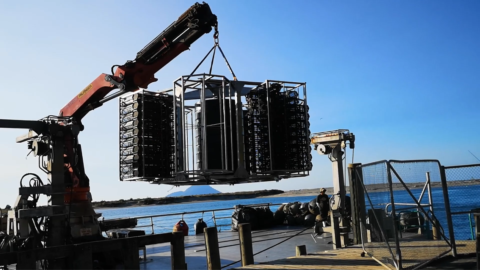 Cawthron's innovative ‘Shellfish Tower’ a practical solution for open ...