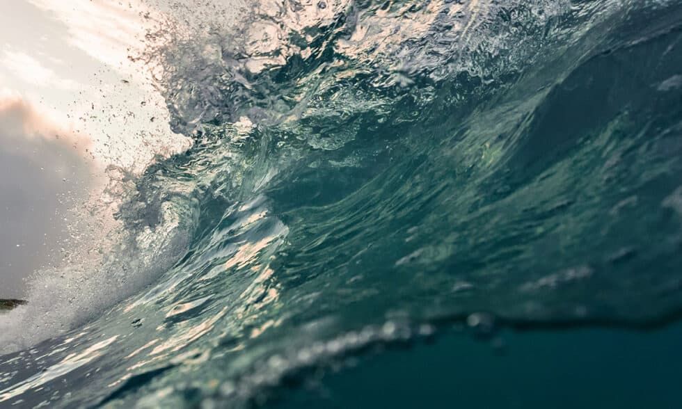 Our Resources - Cawthron Institute