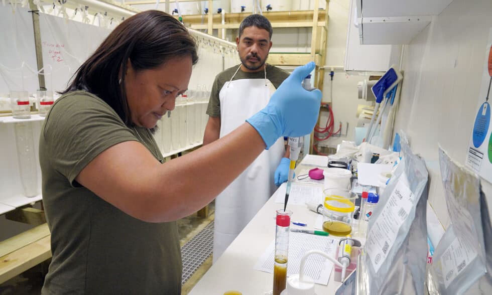 Cawthron supports aquaculture expertise in the Pacific - Cawthron Institute