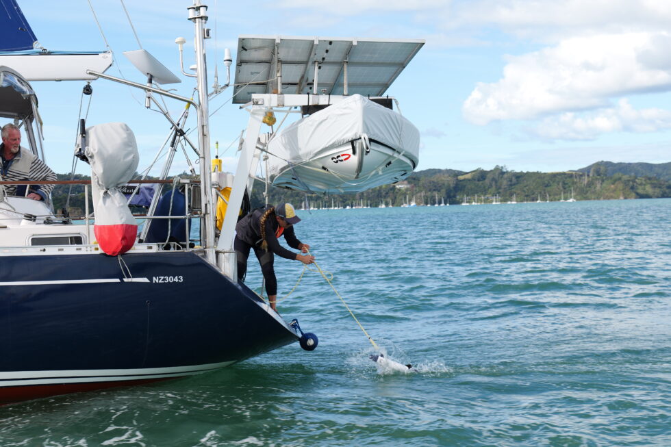 Cawthron and partners launch new ocean biodiversity charity - Cawthron ...