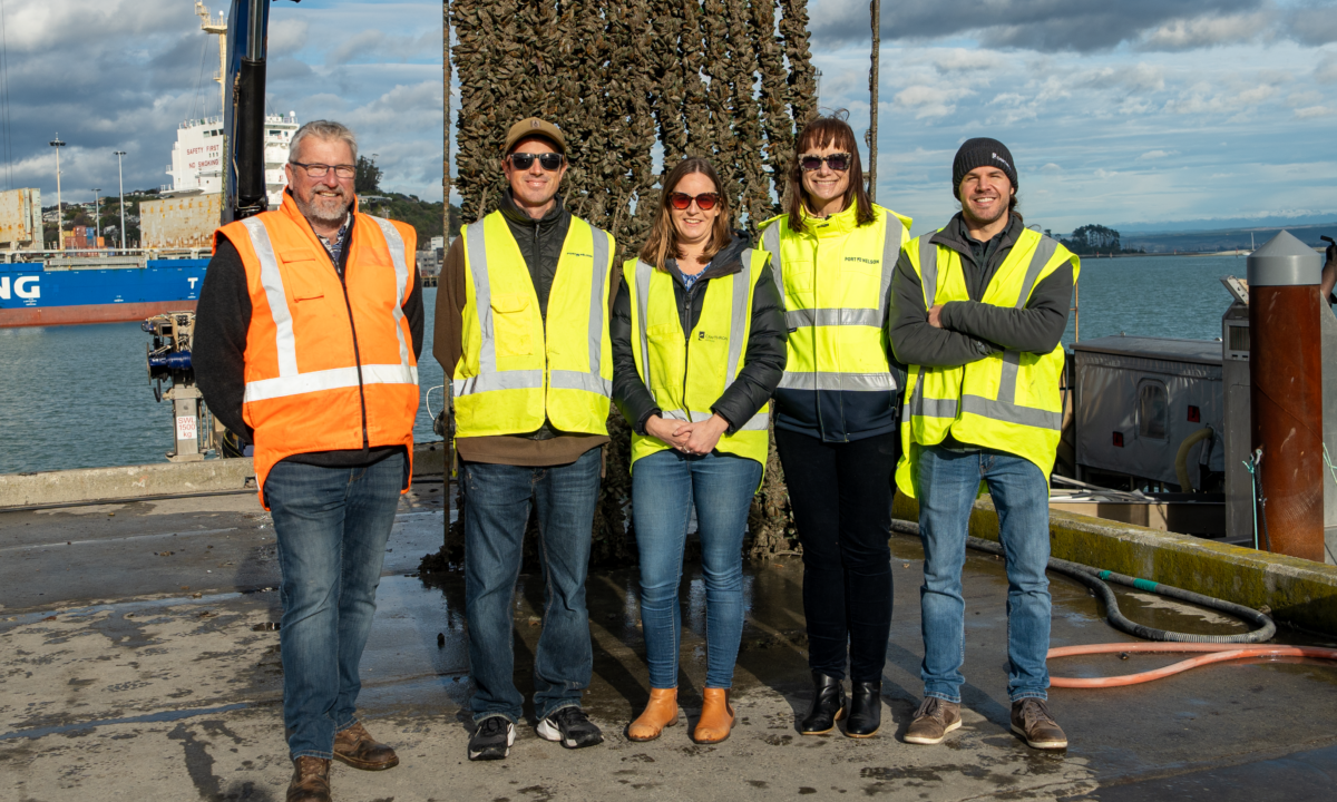 Scientists studying filtering ability of mussels for natural water ...
